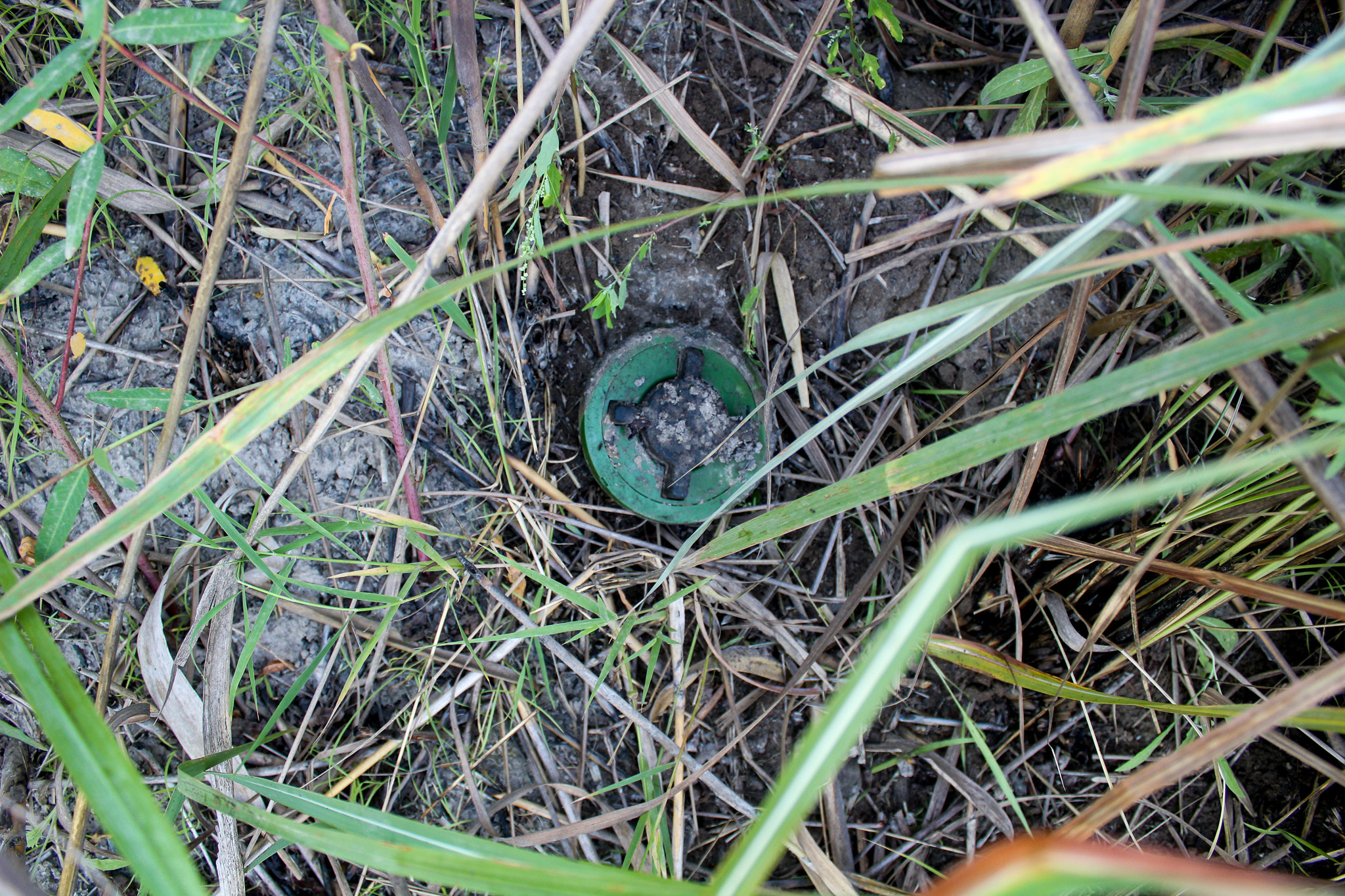 International Campaign to Ban Landmines concerned at reported landmine ...