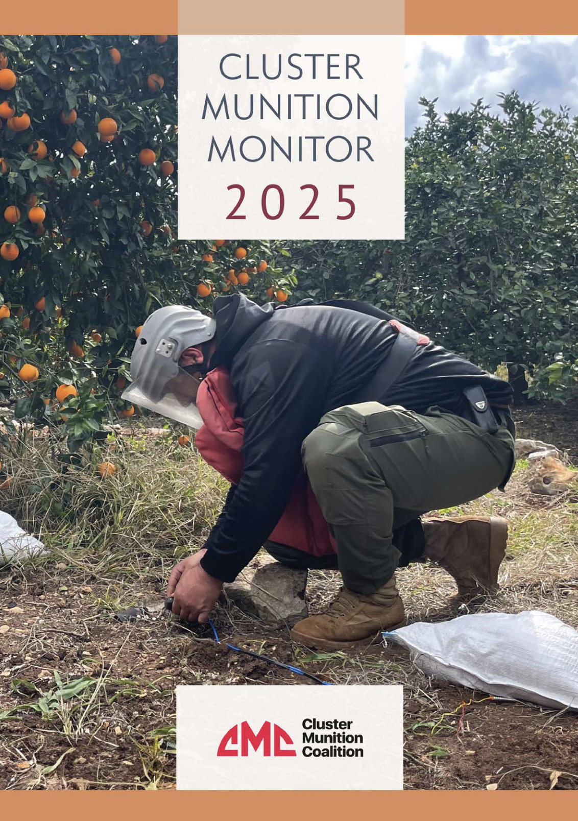 Cluster Munition Monitor 2025: Continued Progress Amidst New Challenges - ICBLCMC