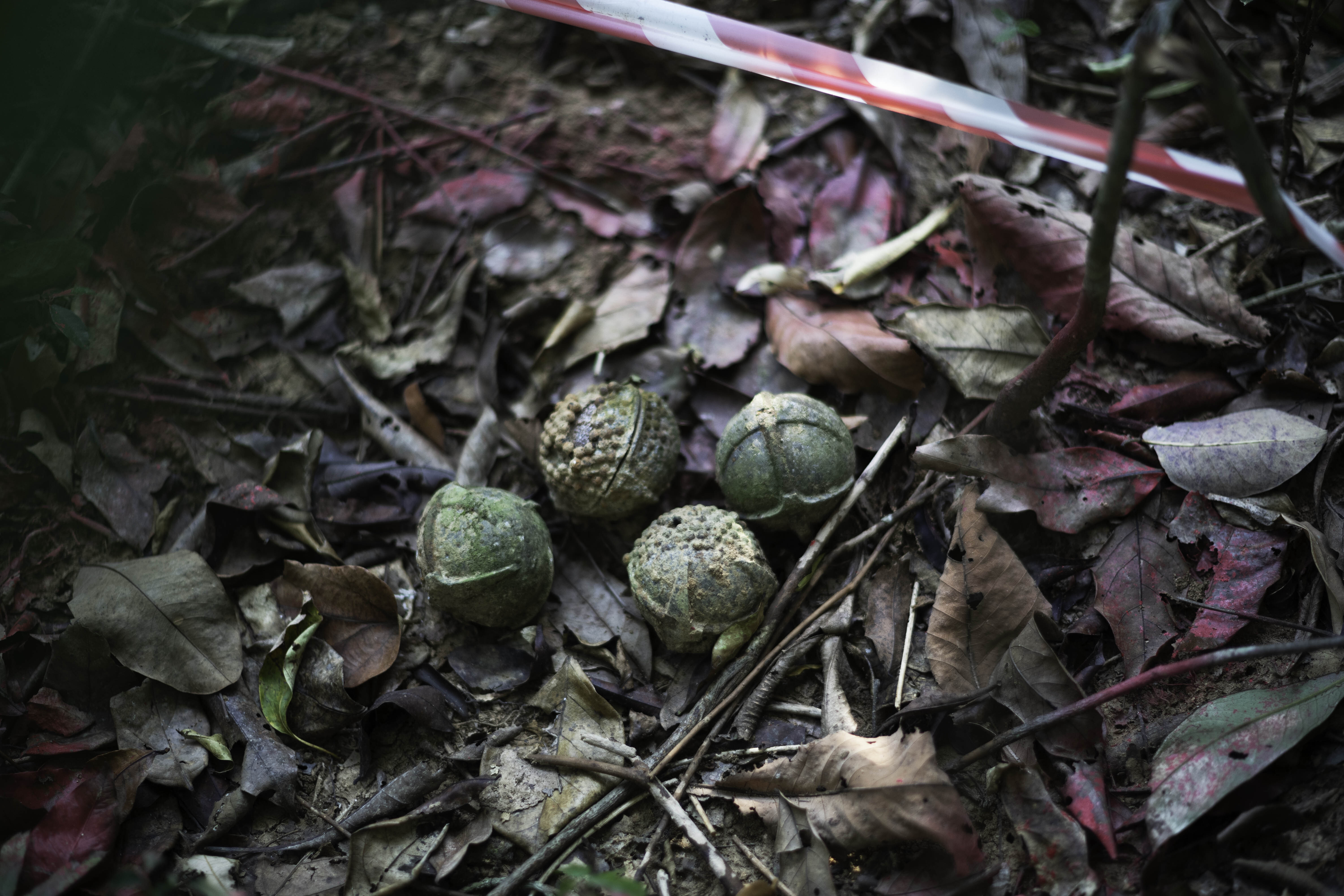 What is a cluster bomb? - ICBLCMC